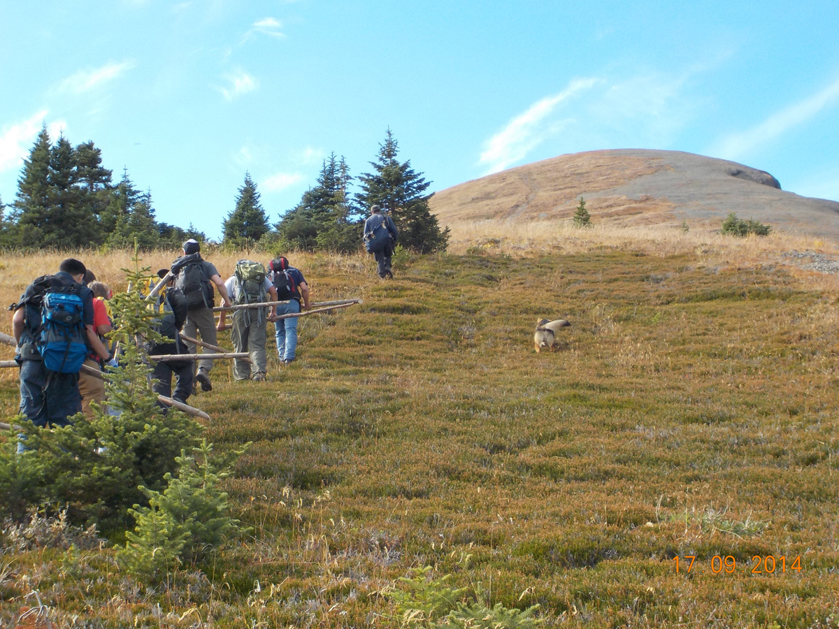 Replacing Screen Time for Green Time